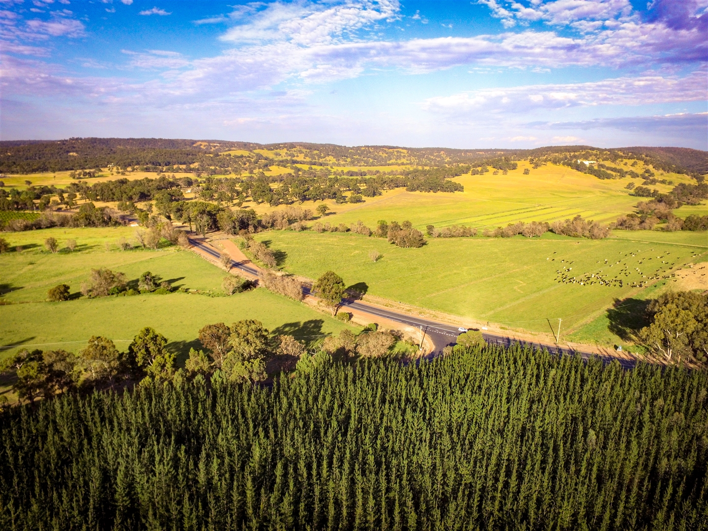 Home » Shire of Waroona