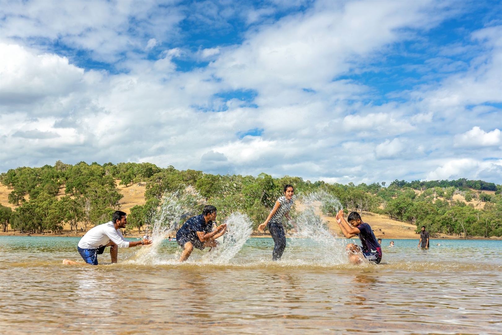 Home » Shire of Waroona