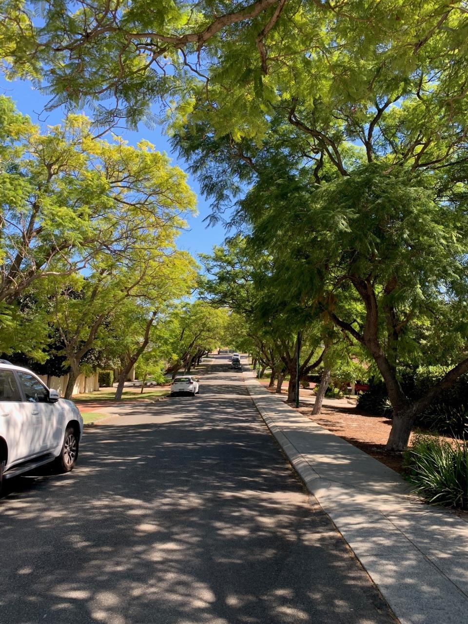 Latest News » Shire of Waroona